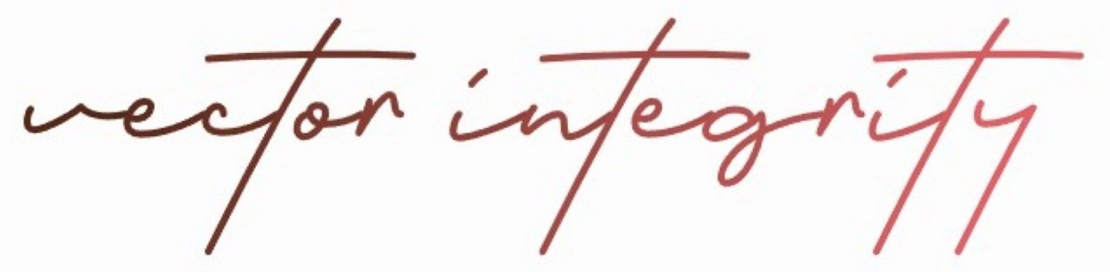 Vector Integrity - Asset Integrity, Inspection Engineering, In-Service Inspection